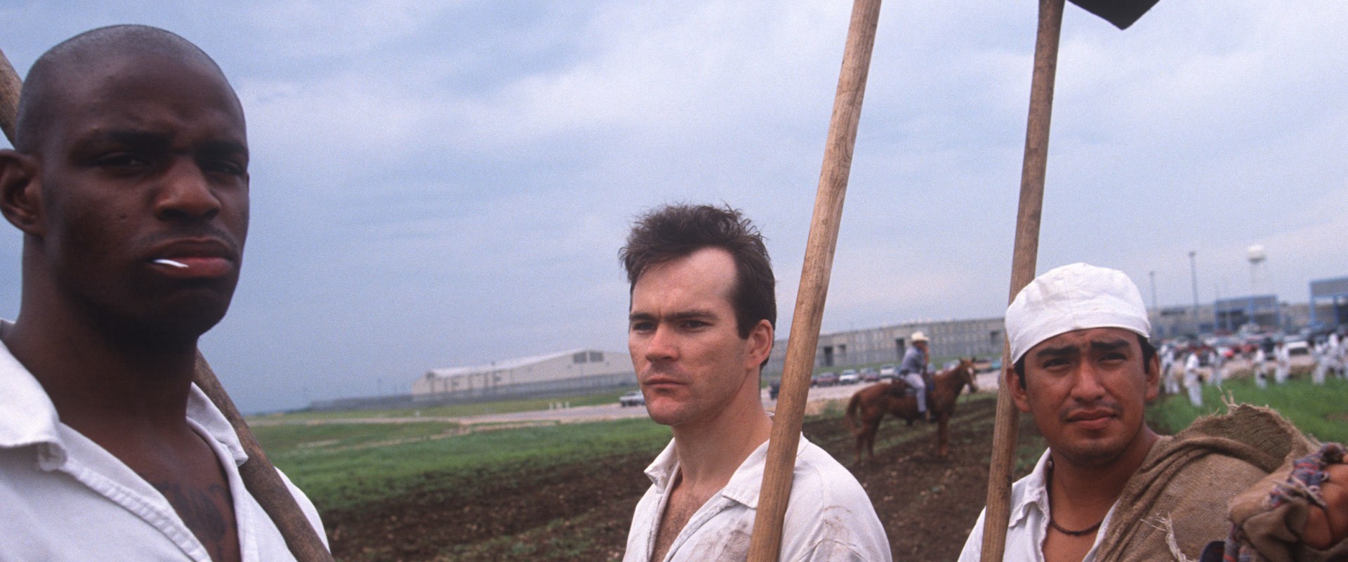 The Impact of Race on Criminal Behavior