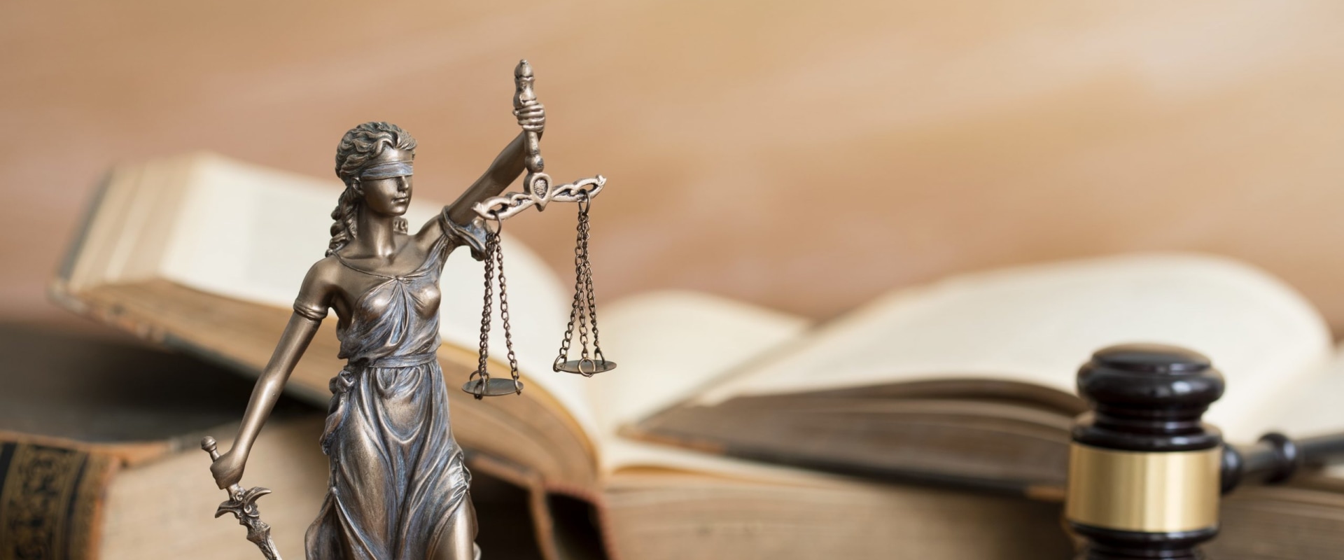 Understanding the Four Main Categories of the Criminal Justice System
